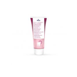 Wild Depurdent Reinigungs-und Polierpaste - ABC Dental AG